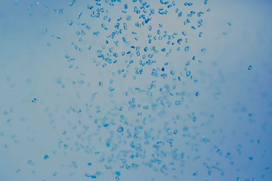 透明バリアフィルム「GL FILM」 | 凸版印刷｜TOPPAN Packaging